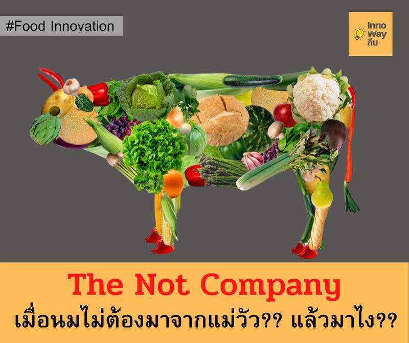 [Innowayถีบ] The Not Company นิยามใหม่ "เมื่อนมไม่ต้องมาจากแม่วัว" ถ้า ...