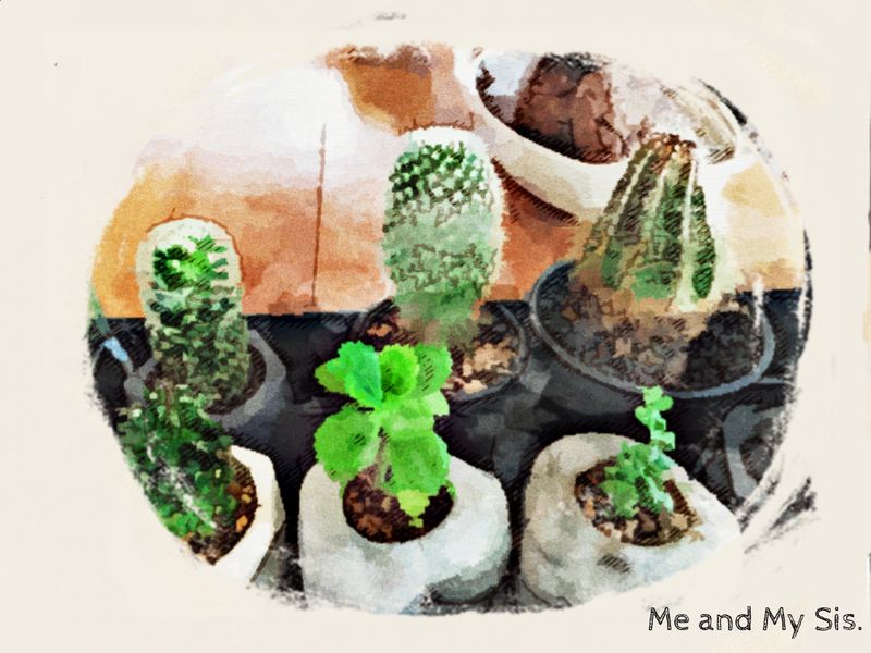 [หมีขาว | Me and My Sis.|] สวัสดีวันพุธสีเขียว...โต๊ะทำงานก็สีเขียว ...