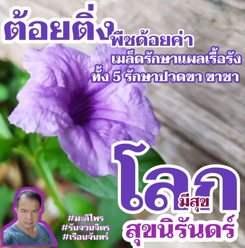 [ชีวิตนิรันดร์ ] วันเสาร์ ต้อยติ่ง บางคนว่าด้อยค่า ตัองตัดทิ้ง ต้อยติ่ง