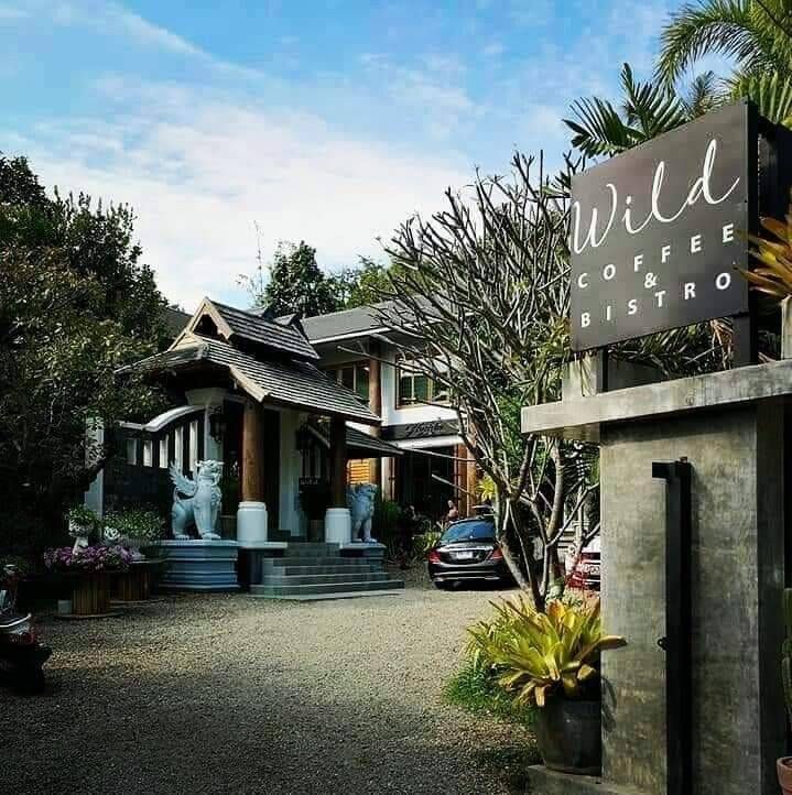 [All about..Cafe] Wild Cafe & Bistro คาเฟ่สไตล์ฟิวชั่นตั้งอยู่ท่ามกลาง ...