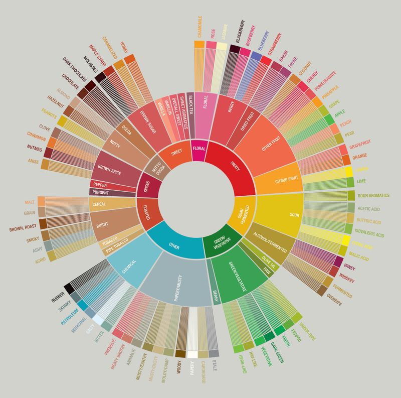 [ZMITH] หลายคนคงเคยเห็น Coffee Flavor Wheel เวลาไปร้านกาแฟ Specialty ...