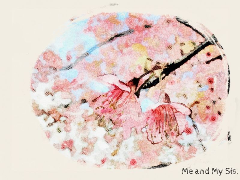 [Me & My Sis] #ยิ น ดี ที่ ไม่ รู้ จั ก วันนี้เป็นวันที่มีคนหลงเข้ามาใน ...