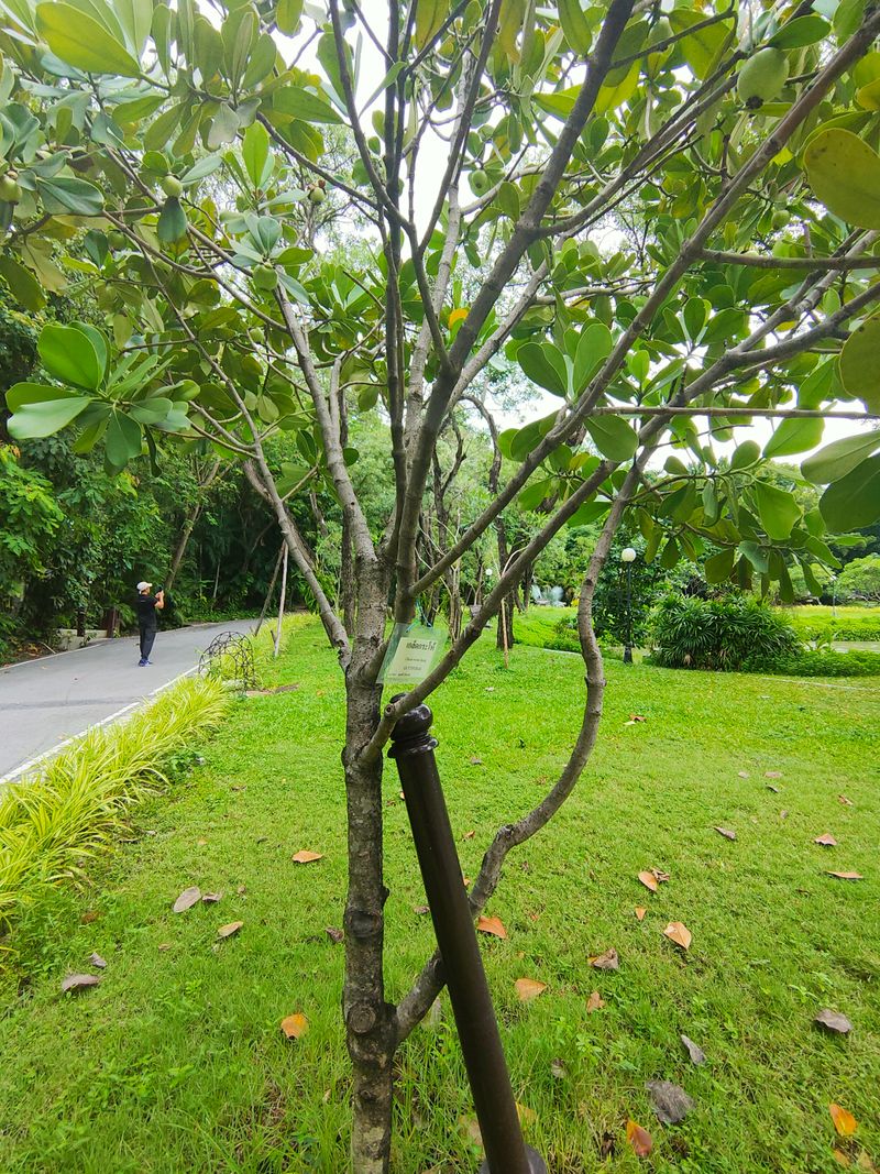 [Prashya Global] ธรรมารมณ์ อารมณ์อยู่ที่ไหนใจก็อยู่ที่นั่น ถ้ากำหนดดูอารมณ์ภายในใจก็เท่ากับกำหนด ...