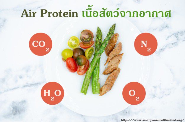 [วิทย์อาหาร] Air Protein กับเนื้อสัตว์จากอากาศ🌀 ในวงการแปรรูปอาหารมักจะ ...