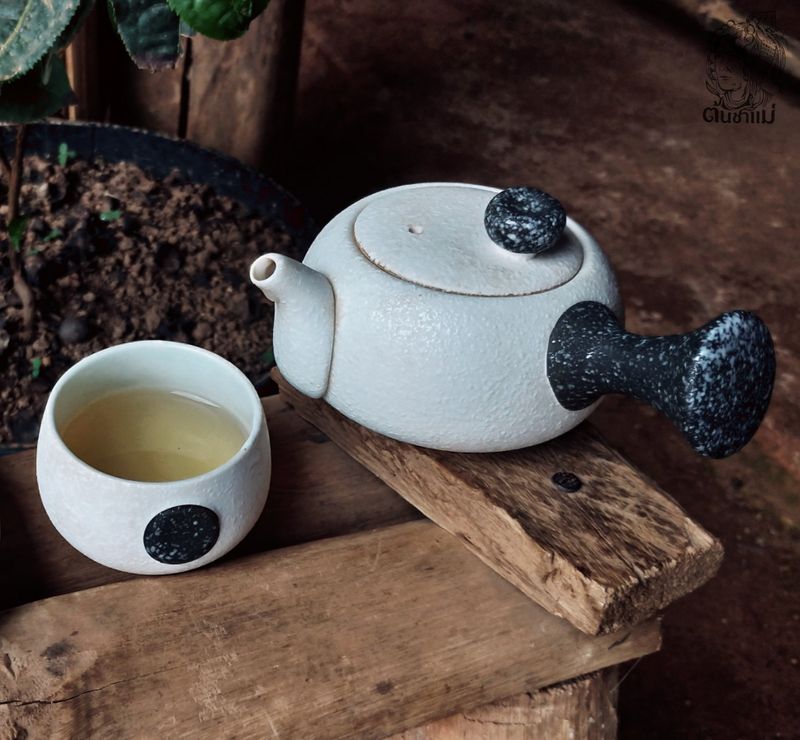 [ต้นชาแม่ - Ton Cha Mae] ความงามไร้รูปแบบกำหนด ความงามไร้รูปแบบพบเจอ ...