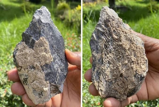 [Timeless History (ประวัติศาสตร์ไร้กาลเวลา)] ขวานที่ทำจากกระดูกฮิปโป ...