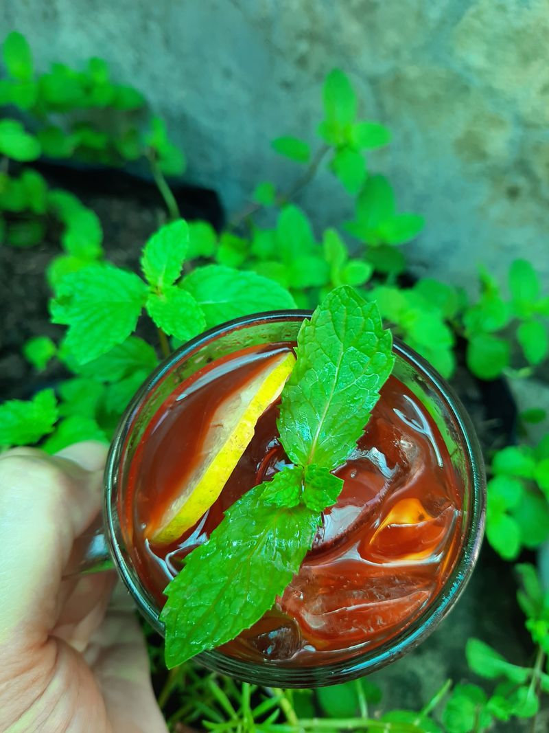 [primz] "สะระแหน่" จ๋าาาาาาา สะระแหน่ เป็นพืชตระกูล มิ้นต์ อันนี้ใครๆก็ ...