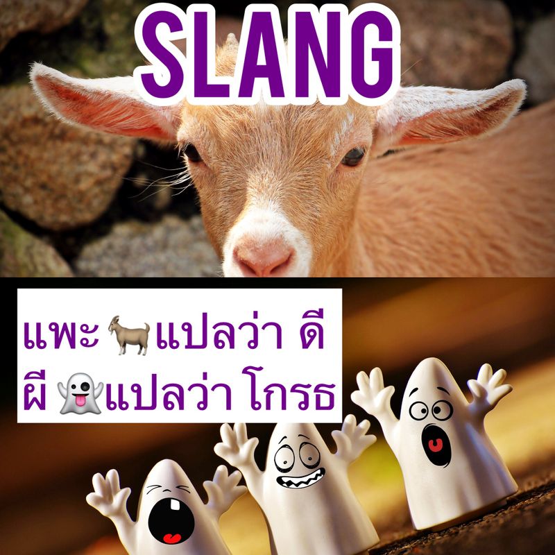 [Benji English] แพะแปลว่าดี ผีแปลว่าโกรธ Slangอะไรเนี่ย😱 2คำคล้าย ออก ...
