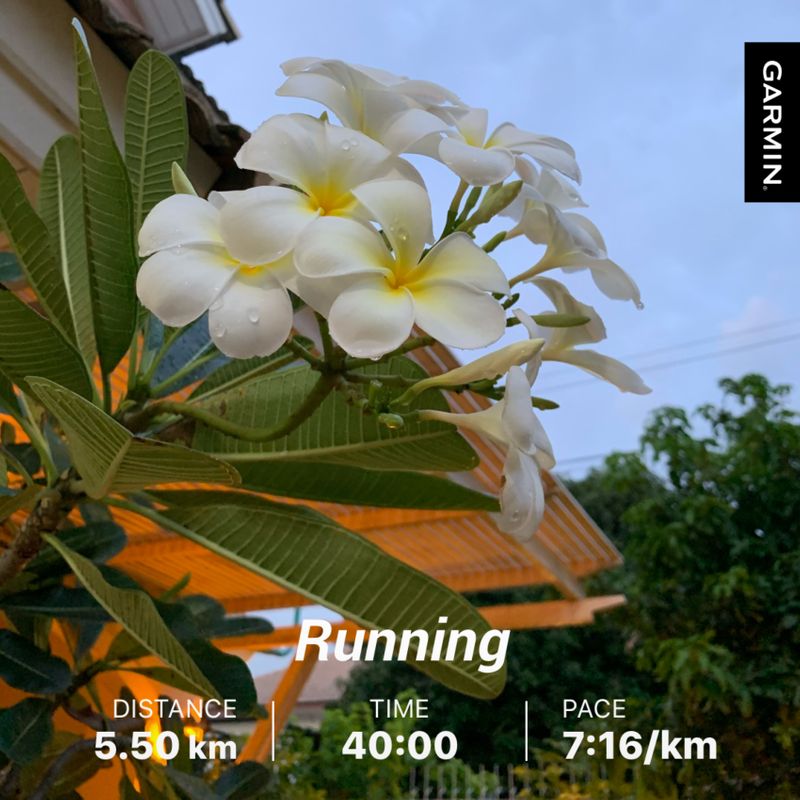 [JK Journal] ความสำเร็จกับความสุข อะไรมาถึงก่อนกันนะ ความรู้สึกที่ ...