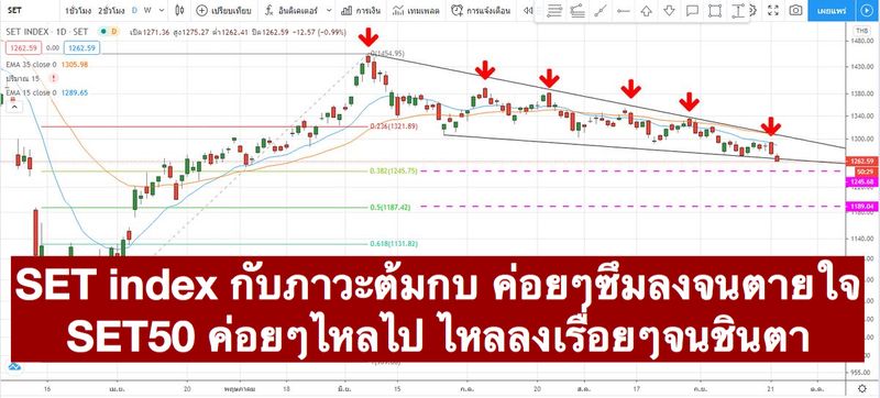 [Stock In Trend - หุ้นอินเทรนด์] Review SET index และ SET50 index - ใน ...
