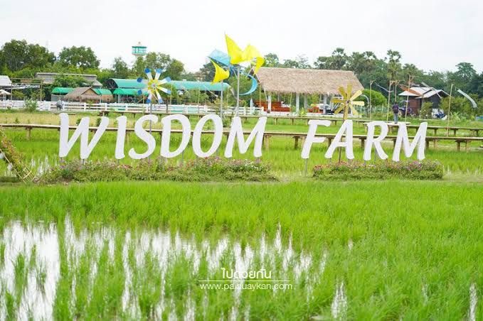 [ท่องเที่ยวทั่วไทย] Wisdom farm ร้านกาแฟริมทุ่งนา Wisdom farm ร้านกาแฟริมทุ่งนาแห่ง อ.คลองหลวง ...