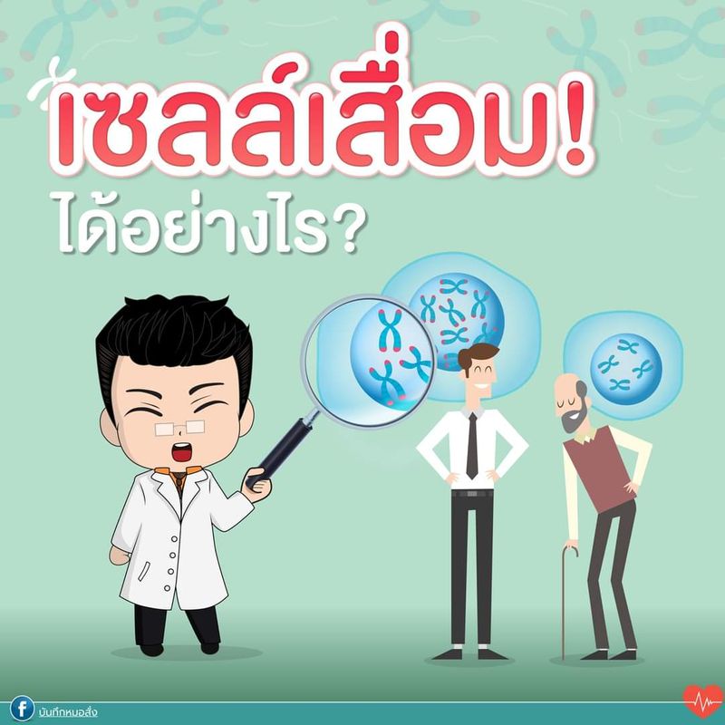 [สินค้าคุณภาพ เน้นคัดวัตถุดิบธรรมชาติทั่วโลก] เซลล์เสื่อม !!! ได้อย่างไร???