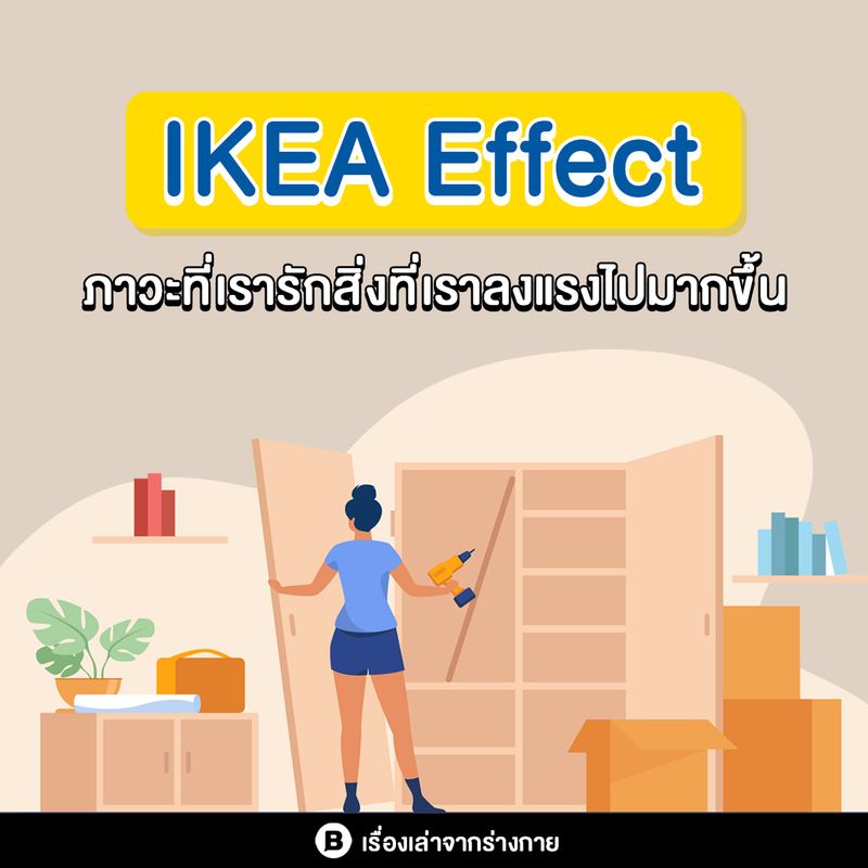 [เรื่องเล่าจากร่างกาย] IKEA effect 🤗 ภาวะที่เรารักสิ่งที่เราลงแรงไปมาก ...