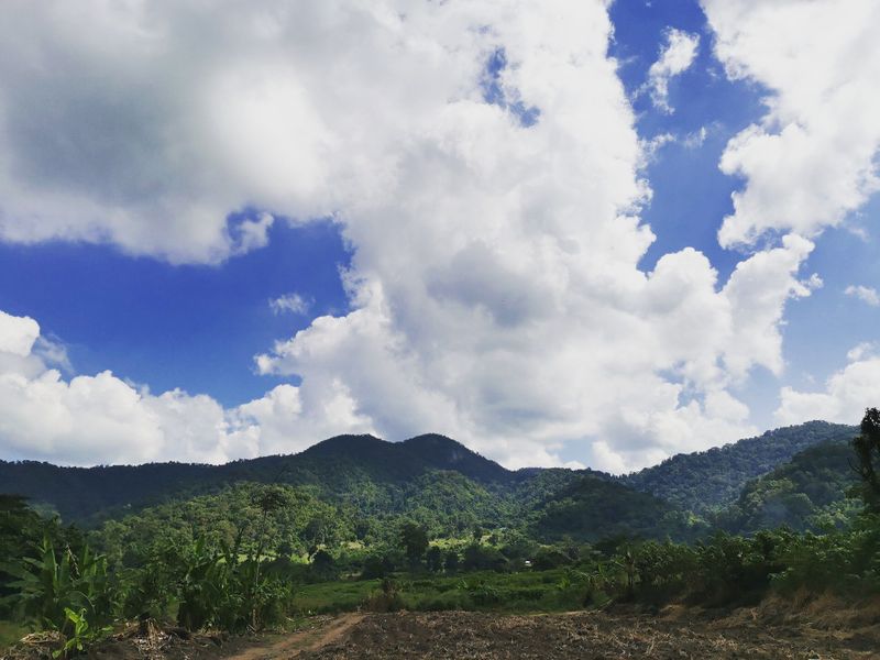 [@P-Chanida] วันสุข.. มีสุขตลอดวัน🐦