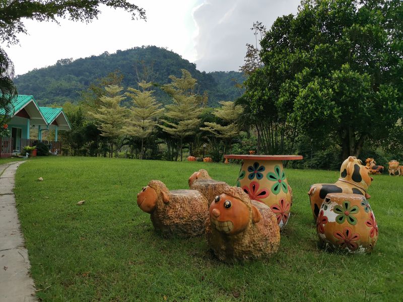 [@P-Chanida] สวัสดี.. 25 พฤศจิกายน 2563..🌿🌿🌿 อีกไม่ถึง 2 เดือน.. แล้วนะ ...