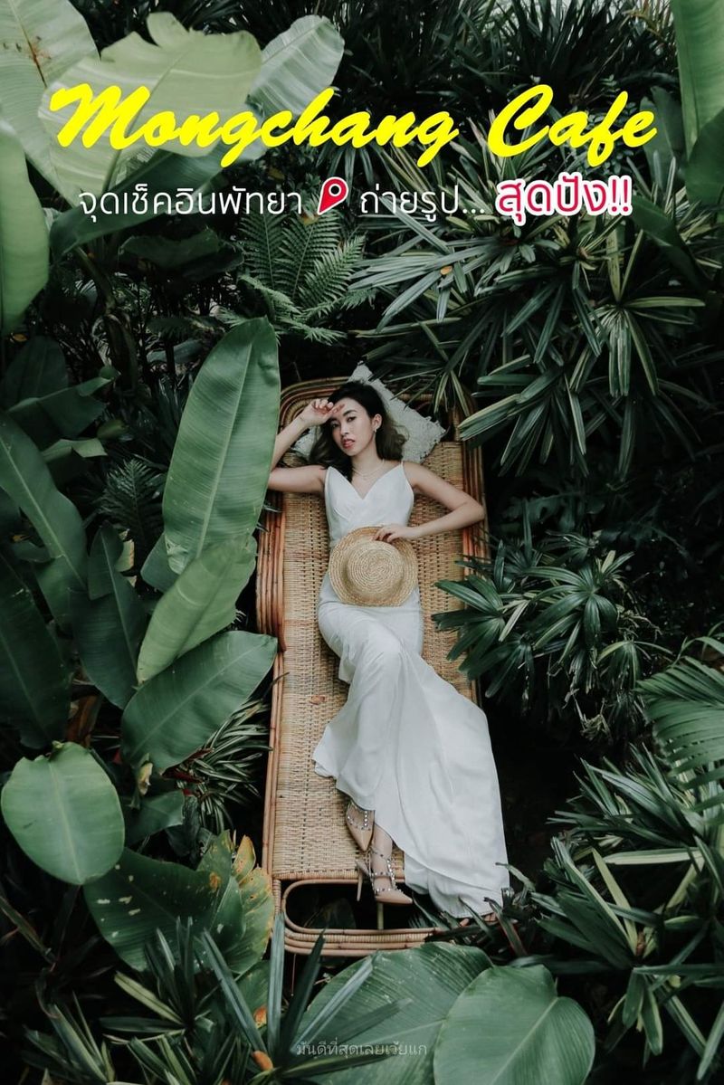 [มันดีที่สุดเลยเว้ยแก] 𝗠𝗼𝗻𝗴𝗰𝗵𝗮𝗻𝗴 𝗖𝗮𝗳𝗲 🐘 มองช้าง คาเฟ่ จุดเช็คอินพัทยา ถ่ายรูปสุดปัง ได้ฟีลสวน ...