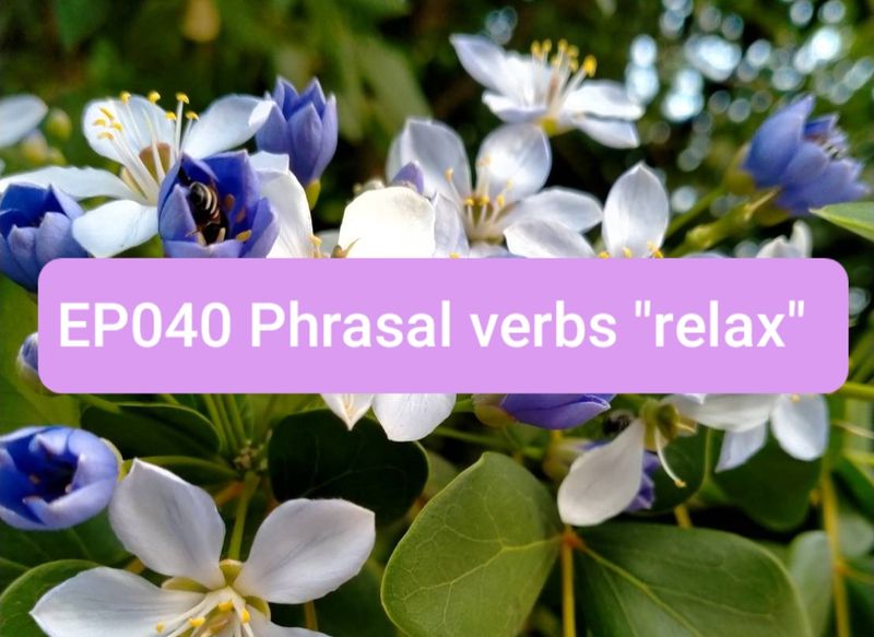[English is all around] EP 040 : phrasal verbs " relax" Happy Hump day ...