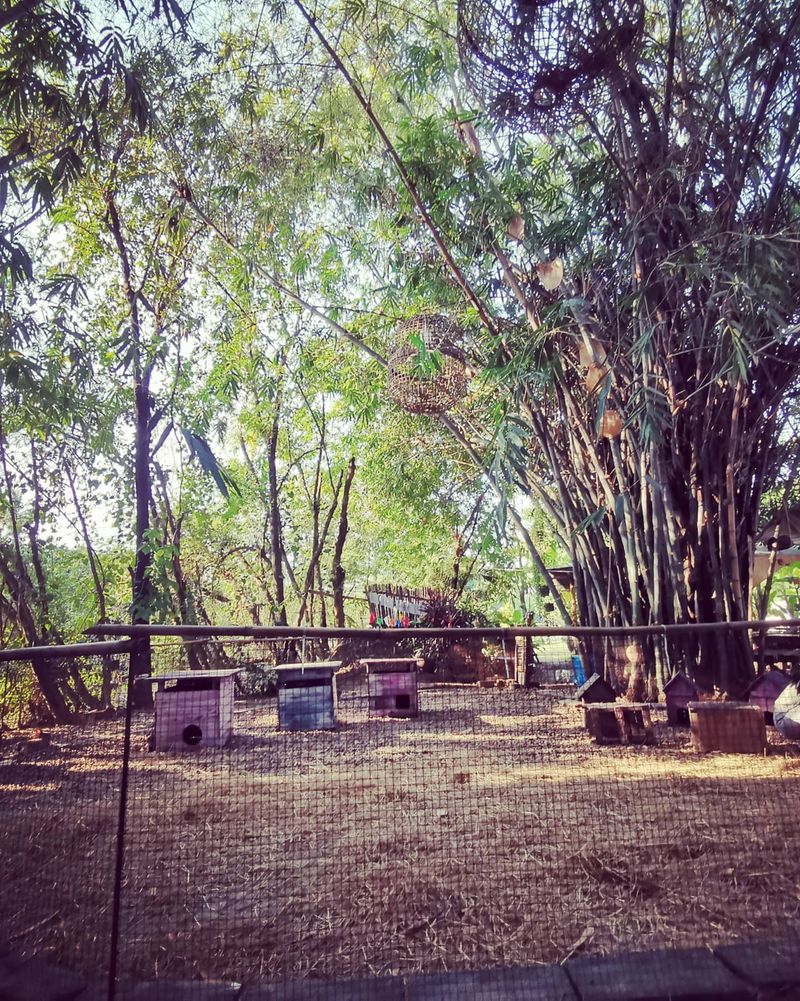 [@P-Chanida] วันหยุดยาว.. ไม่รู้จะไปไหน.. แนะนำที่นี้ค่ะ.. #รสธรรมชาติ ...