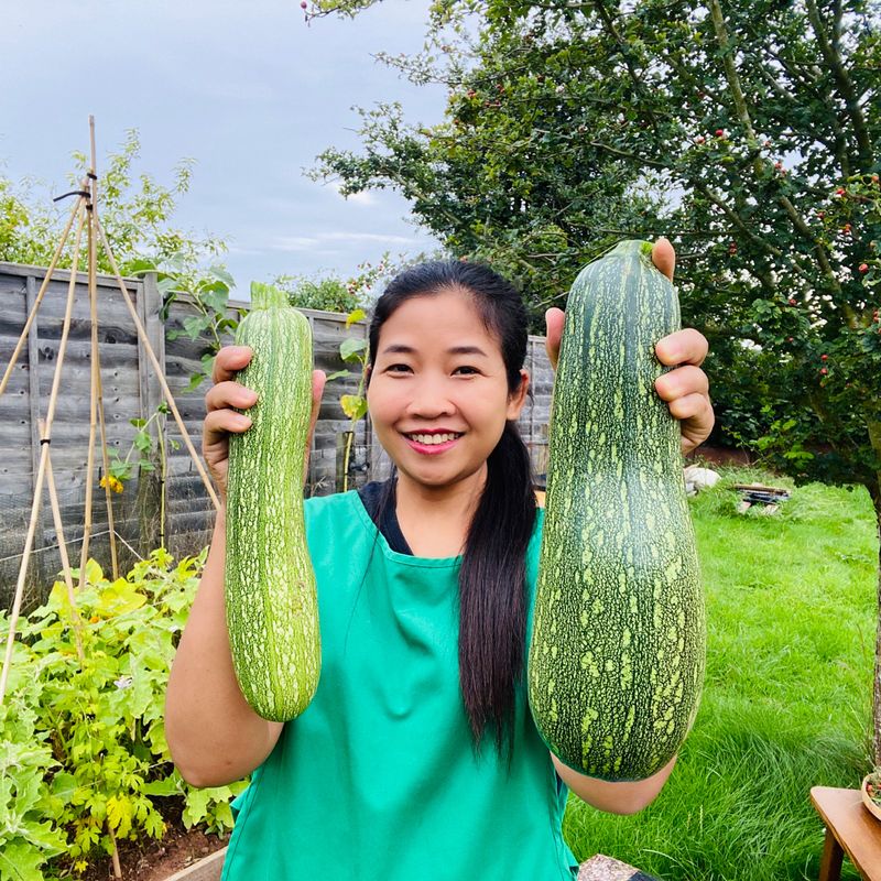 [Kamerr inter แขมร อินเตอร์] สวัสดีเด้อค่ะ แขมร...จากอังกฤษ ยินดีที่ได้ ...