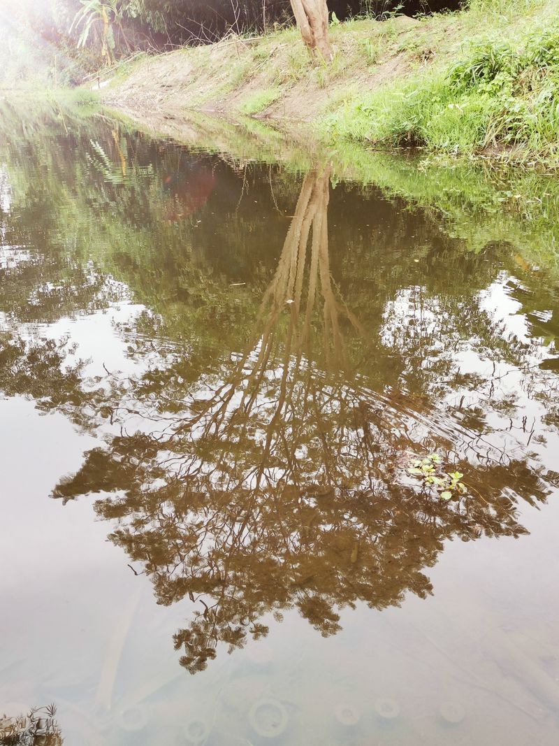 [@P-Chanida] บางครั้งอยู่นิ่งๆ.. ไม่ต้องทำอะไร.. ก็สวยงามได้.. นิ่งๆ ...