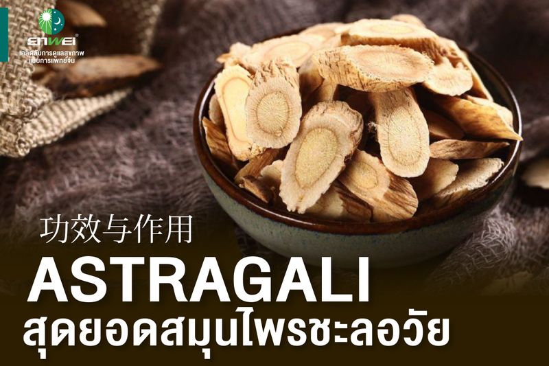 [ENWEI HEALTH] Astragali สุดยอดสมุนไพรจีนที่ช่วยชะลอวัย Astragali เป็น ...