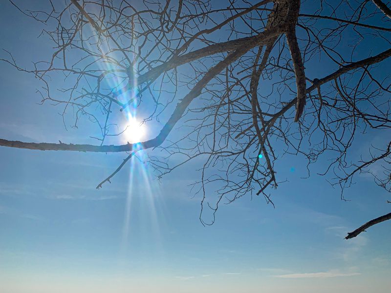 [เที่ยวโทน] “เสม็ดสิ้นปี 2020”