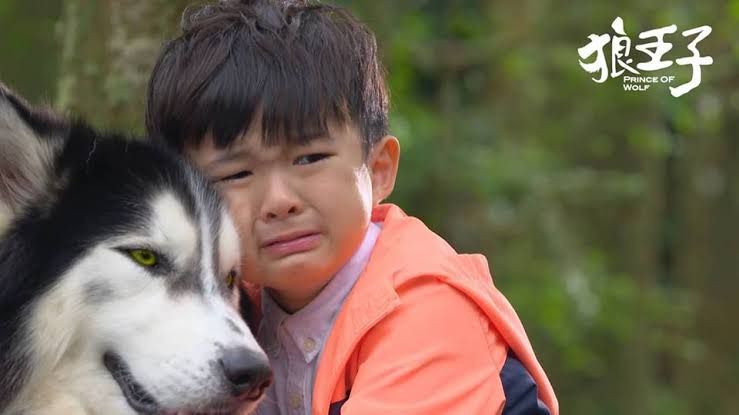 [เซาเว้า.com] เปลี่ยนจากความโหดร้าย มาดูหนังแนวน่ารักๆ กันบ้างเนอะ 😊😊 ...