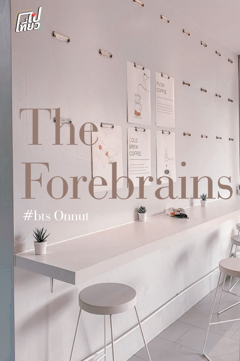 [ไปเที่ยว] The Forebrains คาเฟ่ที่ครบทั้งรูปรสกลิ่นเสียง ใครจะรู้ว่าในคอนโดย่านอ่อนนุชจะมีคาเฟ่ ...