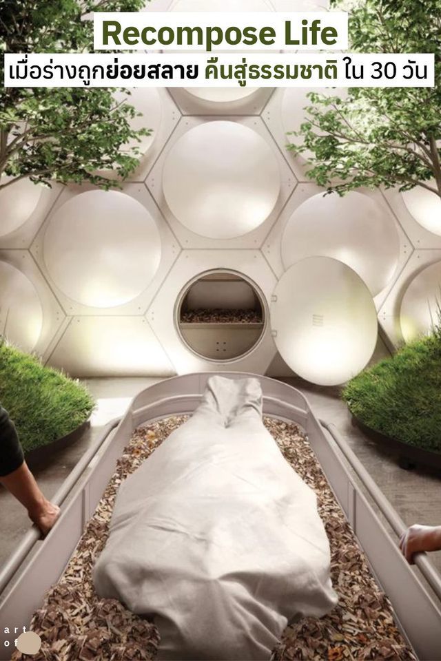 [Art of] RECOMPOSE LIFE จะเป็นอย่างไร? หากร่างกายของเราหลังเสียชีวิต ...