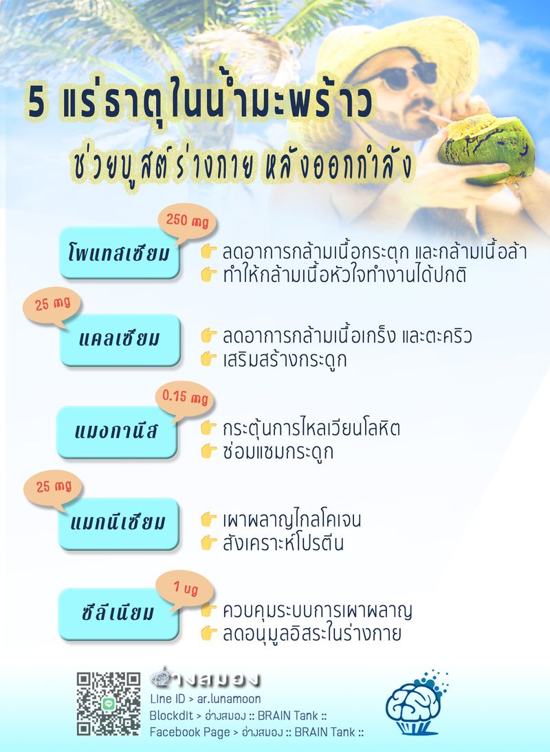 [อ่างสมอง :: BRAIN Tank ::] " 5 แร่ธาตุในน้ำมะพร้าว ช่วยบูสต์ร่างกาย ...