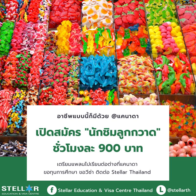 [Stellar Education & Visa Centre Thailand] แบบนี้ก็มีด้วย‼ บริษัทขนม ...