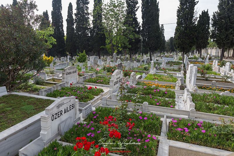 [CANDID] ดอกไม้ชวนมอง ในที่ ๆ ไม่ชวนมอง: Flowers on tombs in cemetery ...