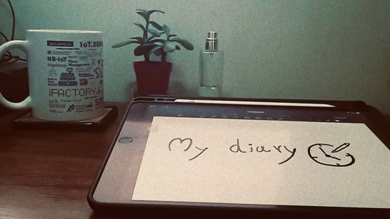 My diary