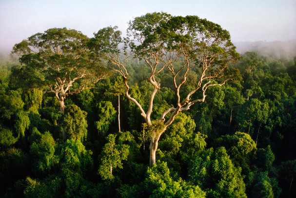 [the nature of life] The nature of life จะมีหัวข้อที่เกี่ยวกับ human ...