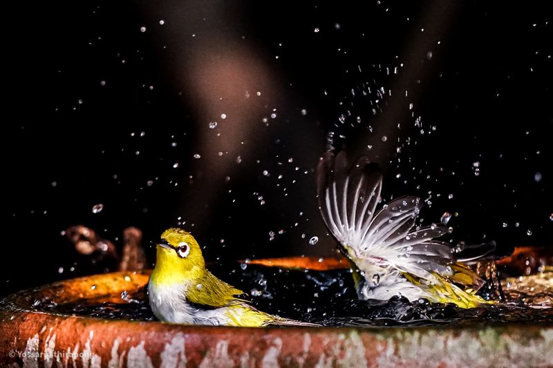 [Wide Life Story] เครื่องหยุดเวลา บันทึกร่องรอยแห่งความงาม