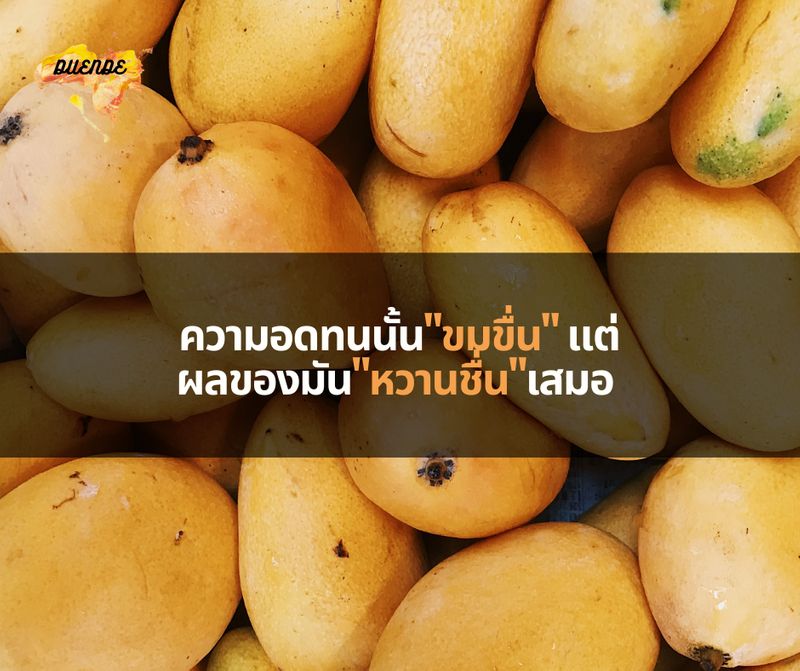 [Duende🎨] "ความอดทนนั้นขมขื่น แต่ผลของมันหวานชื่นเสมอ " มนุษย์เรานั้น ...