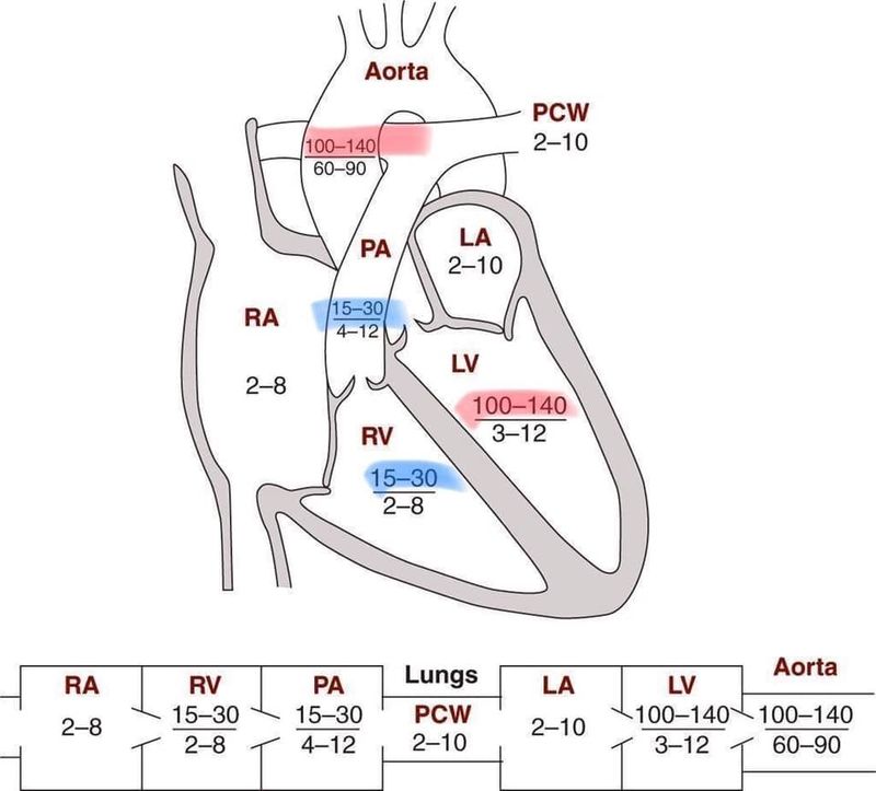 [N.Med] ICU the series - Hemodynamic Assessment in ICU-