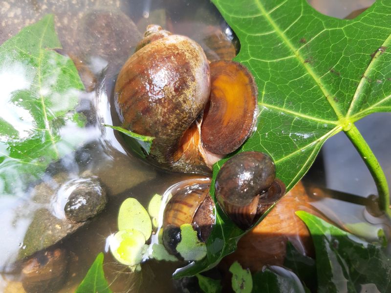 [Patcharee tangtiang]