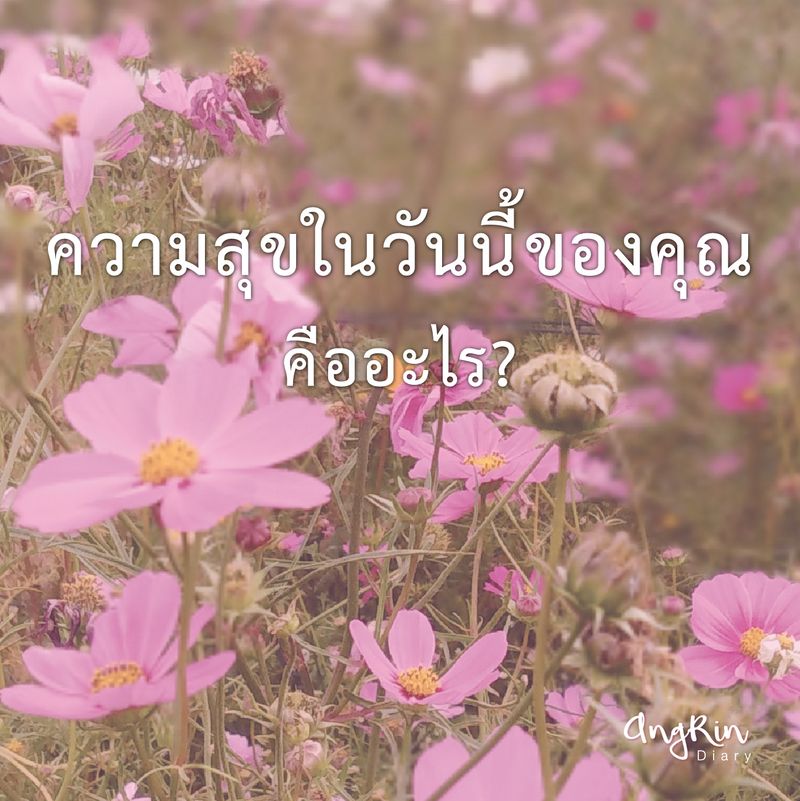 [AngRin Diary] "ความสุขในวันนี้ของคุณคืออะไรคะ ?" ชีวิตเราในแต่ละวันมีหลายเรื่องหลายอย่างมากมาย ...