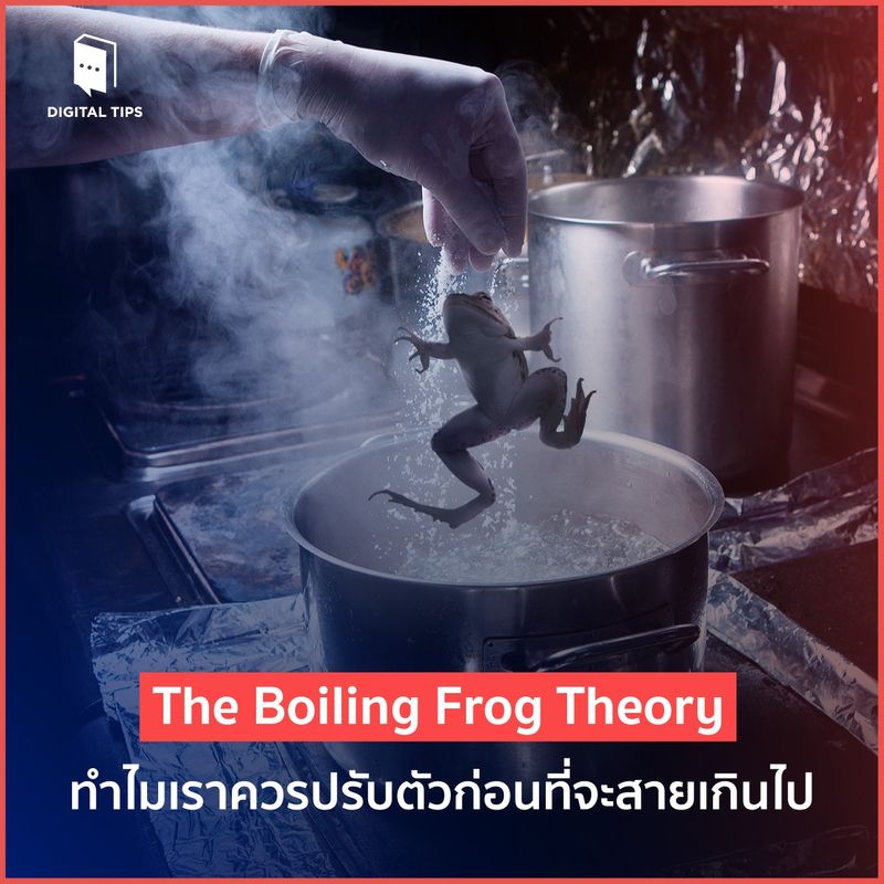 [Digital Tips Academy] รู้จัก The Boiling Frog Theory ทฤษฎีกบต้มสุข 🐸 ...