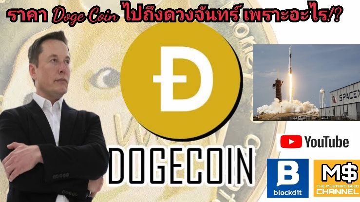 [COIN NEWS MOON] ราคา Doge Coin ไปถึงดวงจันทร์ !? ราคาของเหรียญ Doge ...