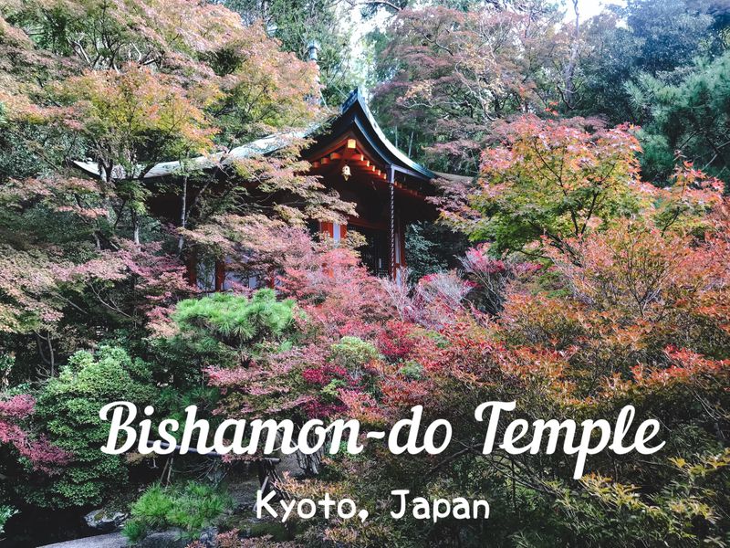 [A..Ant มีเรื่องเล่า] ใครคิดถึงญี่ปุ่นยกมือขึ้น 🙌🏻🙌🏻 💫A..Ant ขอพาไปชม ...