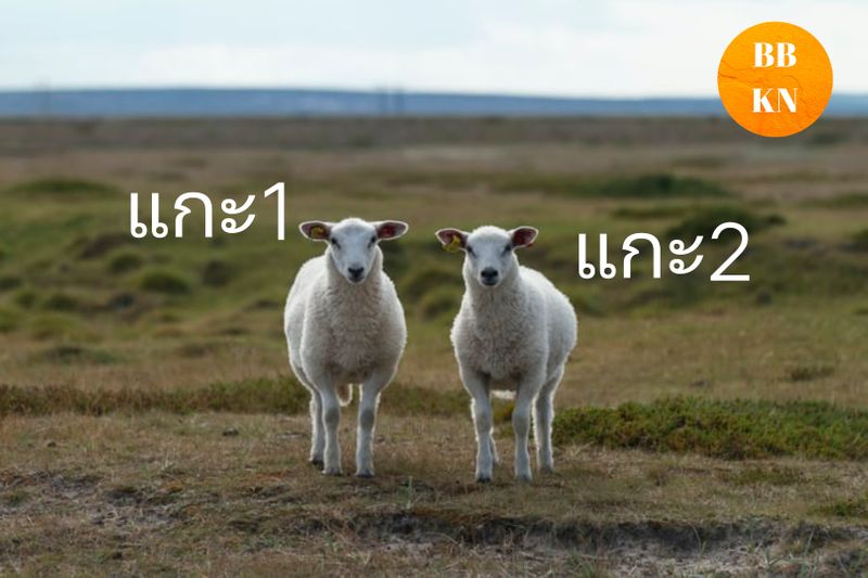 [Winda🦋เพจ windasharing] เข้าใจผิดมาตล๊อดดดดดคร๊าาาาาา🤣🦋