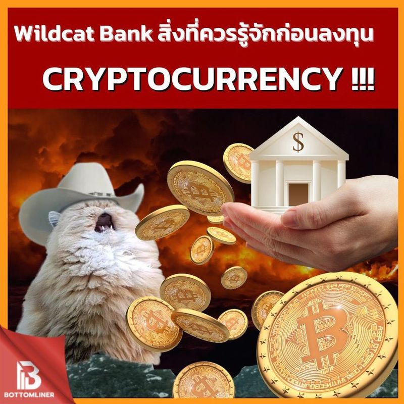 [สรุปหุ้น กองทุน ต่างประเทศ - BottomLiners] ซีรี่ย์บทความ Wildcat ...