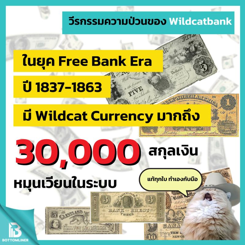 [สรุปหุ้น กองทุน ต่างประเทศ - BottomLiners] ซีรี่ย์บทความ Wildcat ...