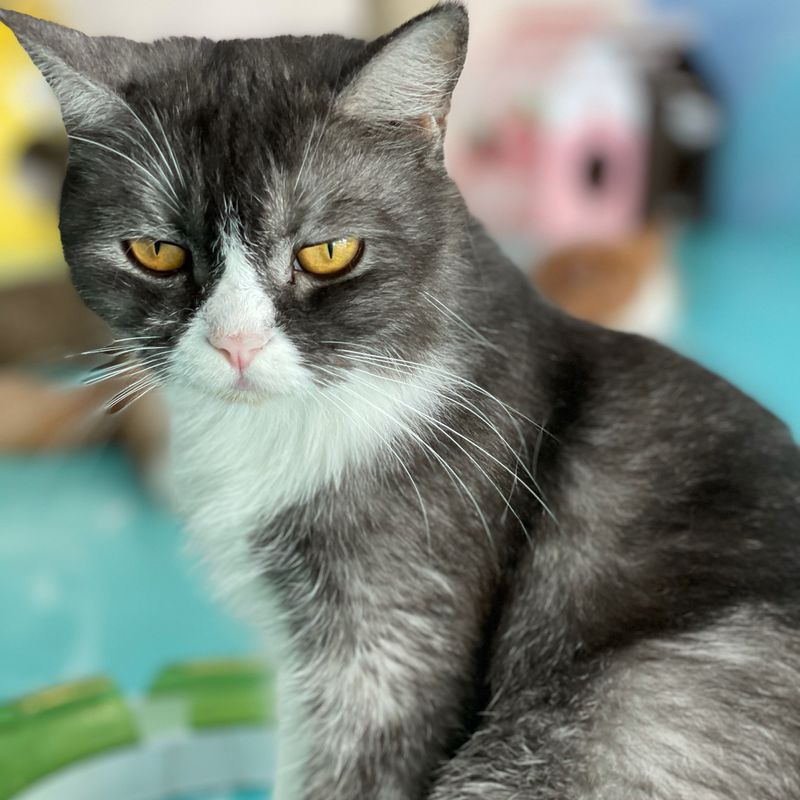 [Lomarin Alone] ความเงียบงัน พื้นที่เล็กๆ ไม่มีลม มีแต่แสงแดดรำไร ใน ...