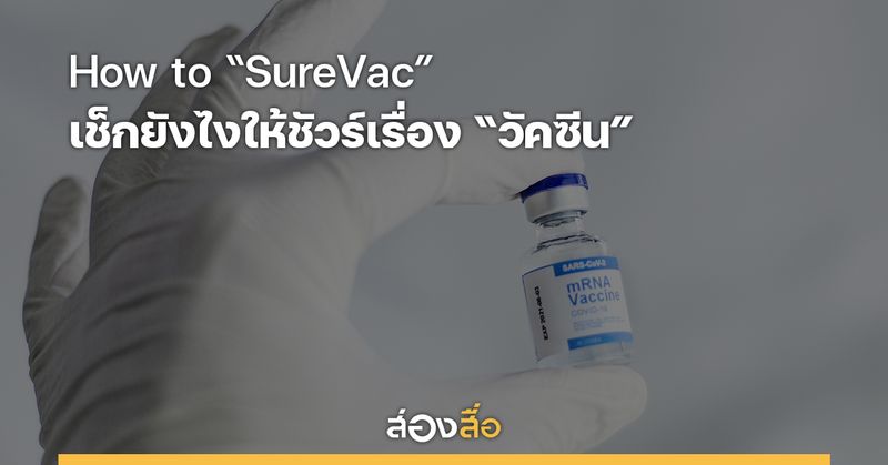 [ส่องสื่อ] How to “SureVac” เช็กยังไงให้ชัวร์เรื่อง “วัคซีน” ในช่วง ...