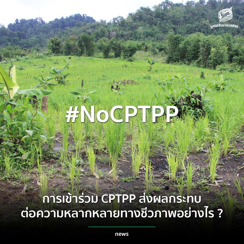 [มูลนิธิสืบนาคะเสถียร] ประเด็น #NoCPTPP ได้ถูกนำมากล่าวถึงในวงกว้างอีกครั้ง หลังแฟนเพจ FTA Watch ...