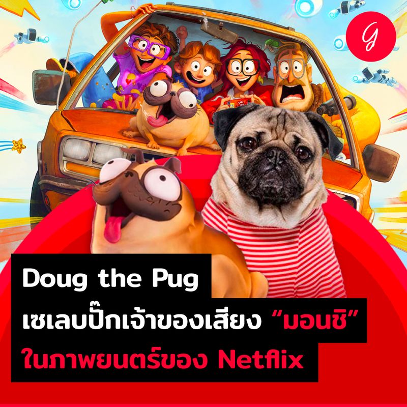 [ลงทุนเกิร์ล] Doug the Pug เซเลบปั๊กเจ้าของเสียง “มอนชิ” ในภาพยนตร์ของ ...