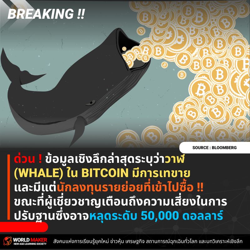 [World Maker] BREAKING !! : ด่วน ! ข้อมูลเชิงลึกล่าสุดระบุว่าวาฬ (Whale) ใน Bitcoin มีการเทขาย ...